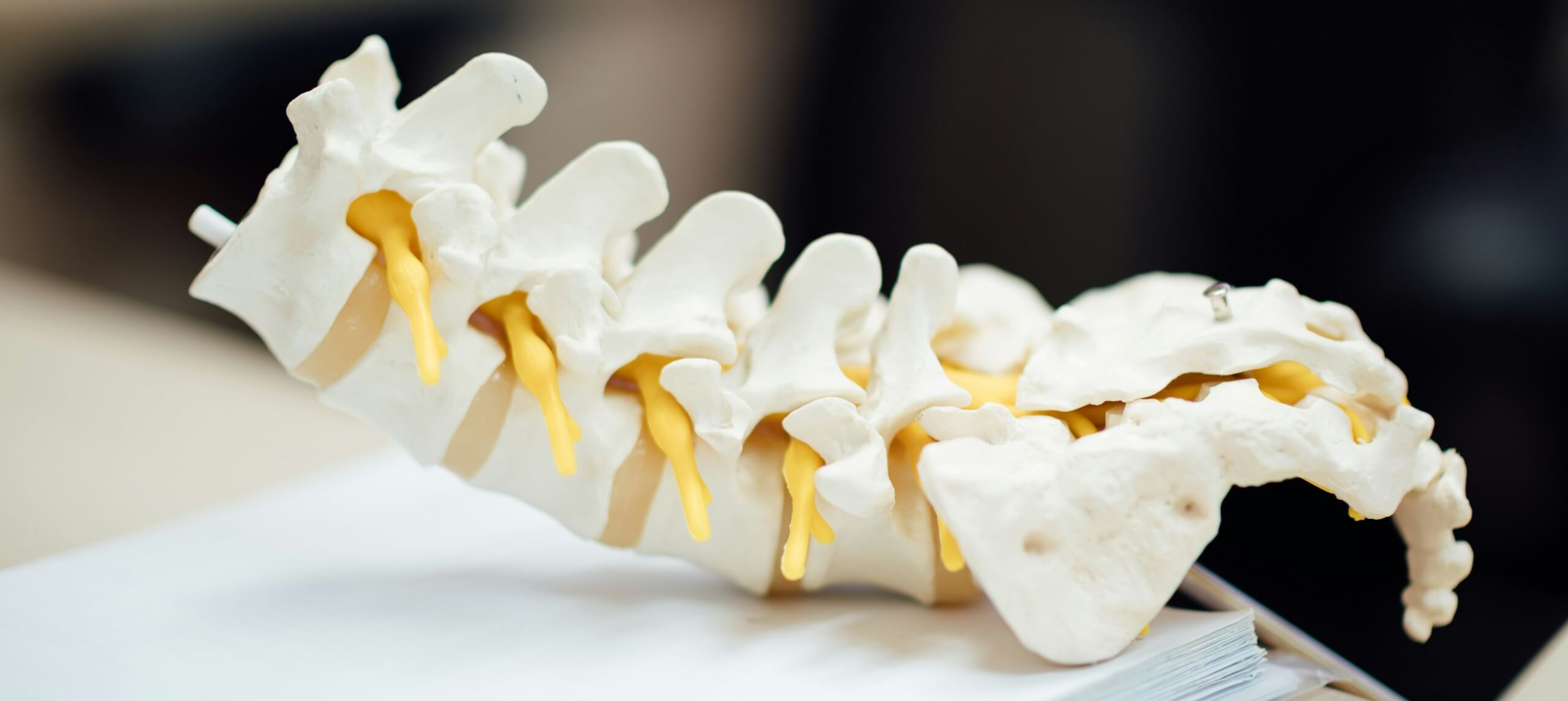 Spinal Decompression for Bulging Disc Relief in Naperville IL - Synergy ...